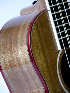 Mya-Moe: Build a Custom Ukulele